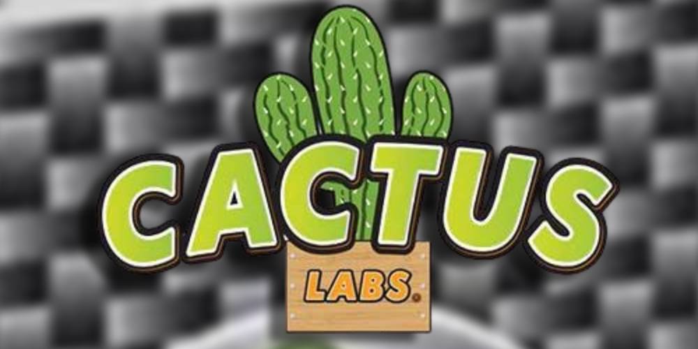 Unlocking Innovation: A Deep Dive into Cactus Labs' Latest Breakthroug