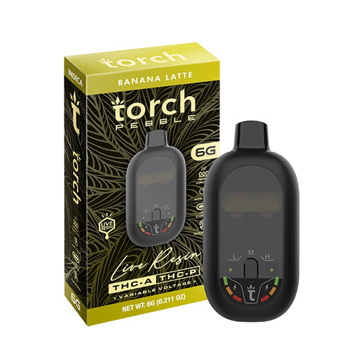 Torch Pebble Live Resin Disposable Vape | 6 Grams